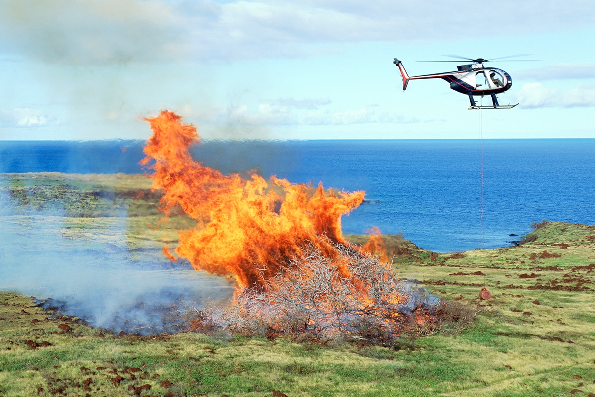 Ways to Help Those Devastated by the Maui Wildfires